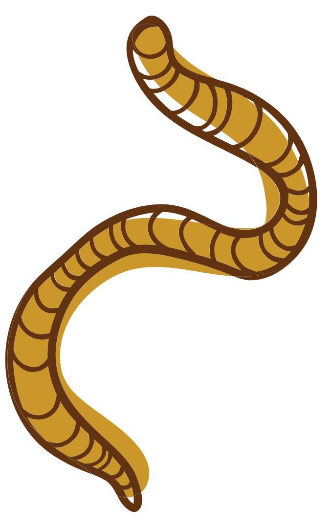 Vermicomposting: How Worms are our Decomposing Friends!