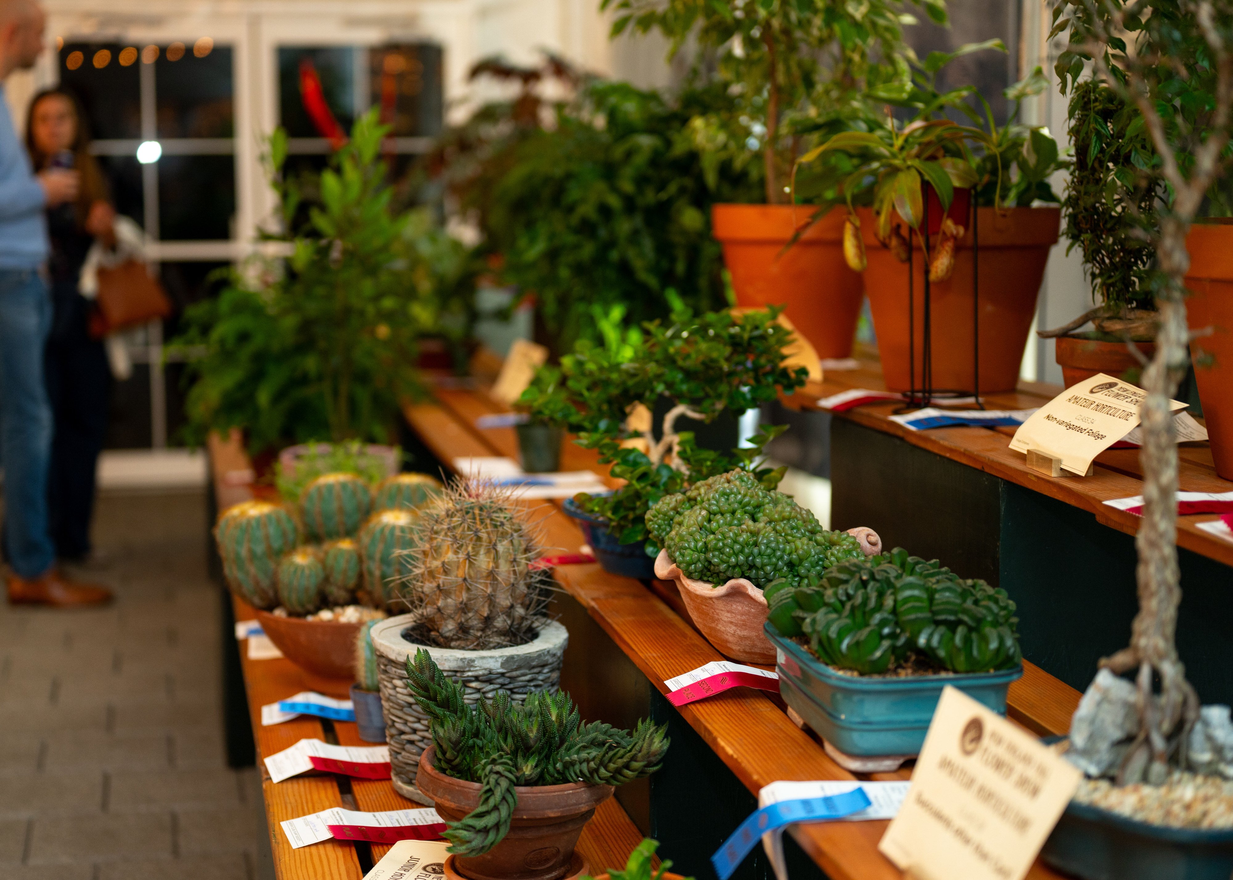 New England Fall Flower Show | Massachusetts Horticultural Society