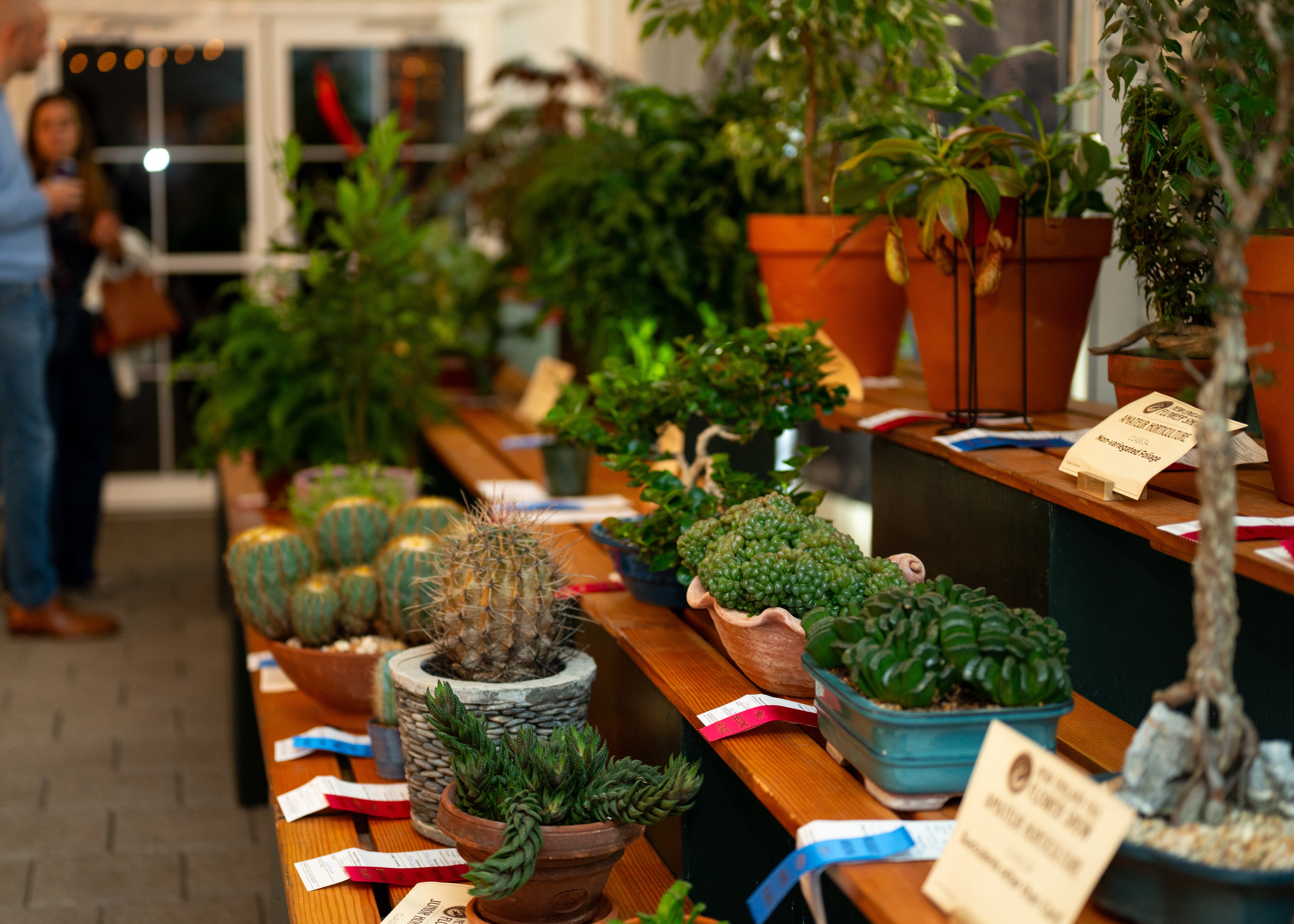 Love Growing Plants? Enter Them in a Flower Show!