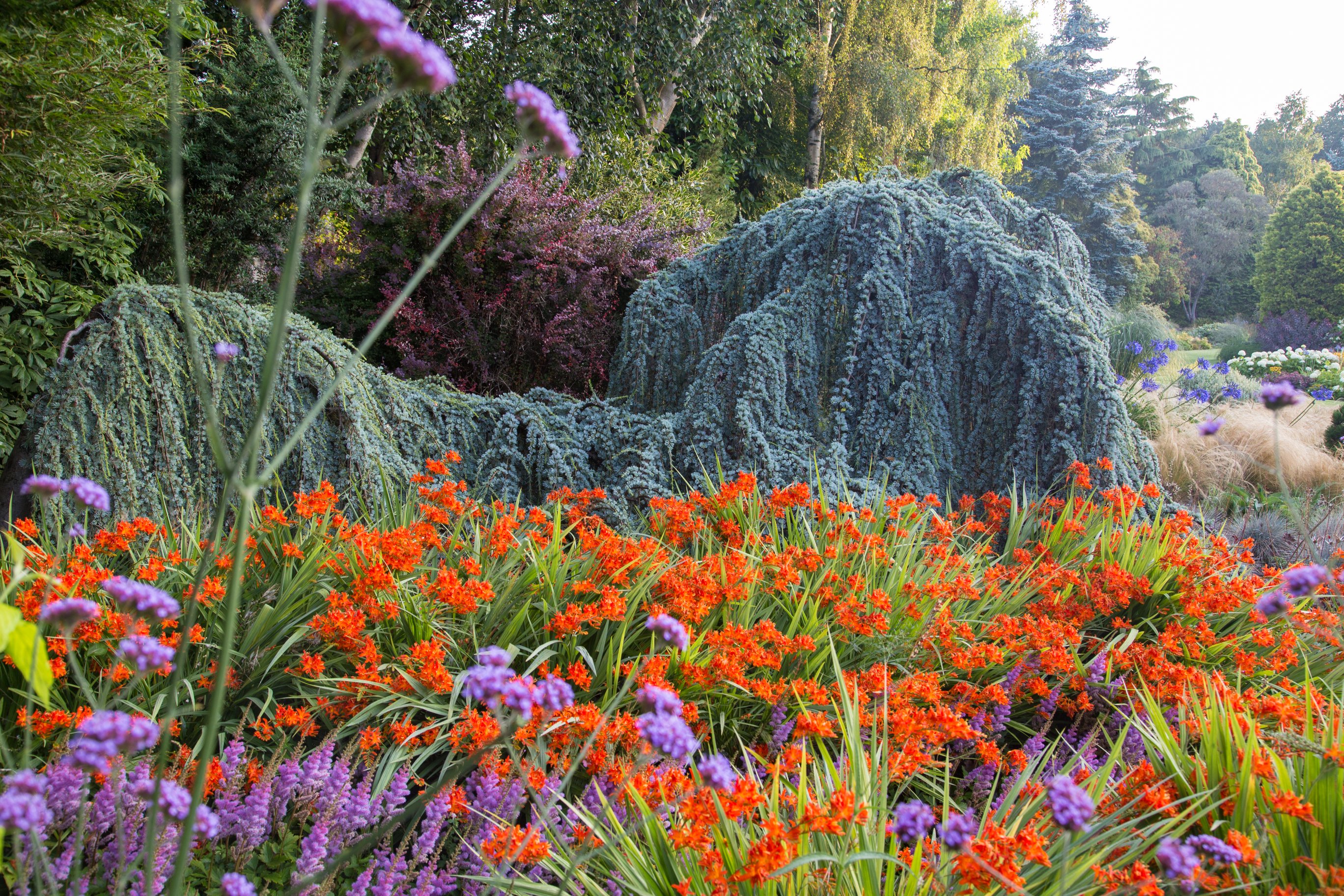 Gardening for Everyone - Adrian Bloom | Massachusetts Horticultural Society