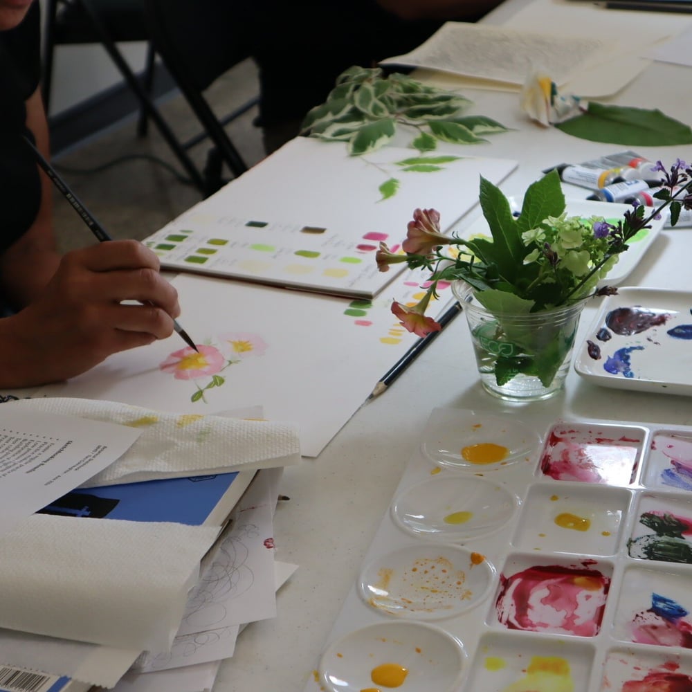 Botanical Art Program | Massachusetts Horticultural Society