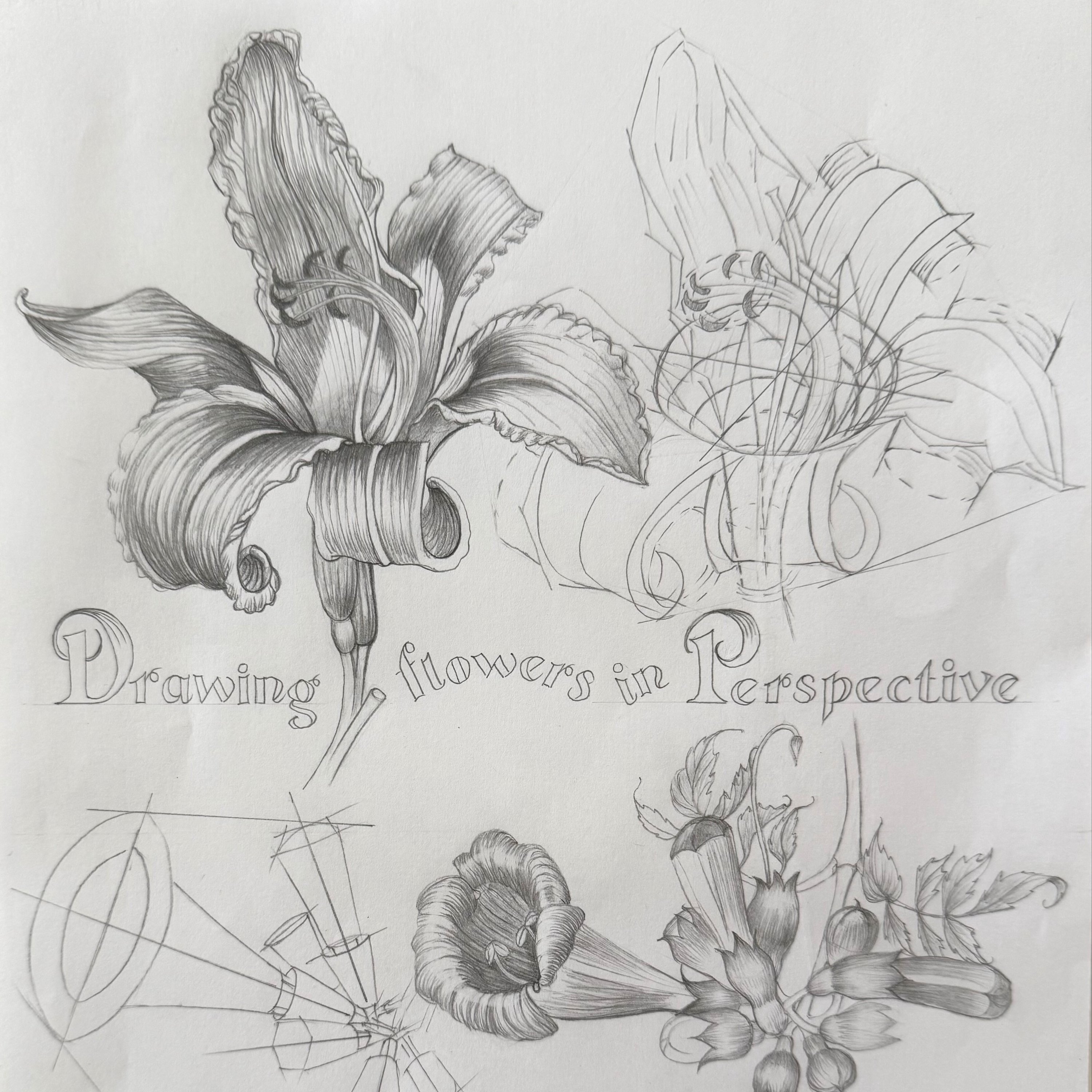 Botanical Art Program | Massachusetts Horticultural Society