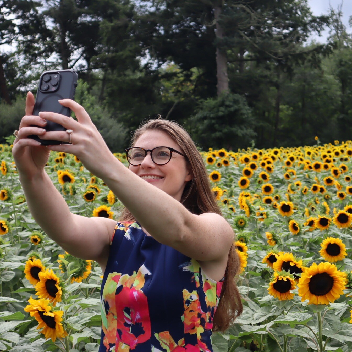 Sunflower Spectacular | Massachusetts Horticultural Society
