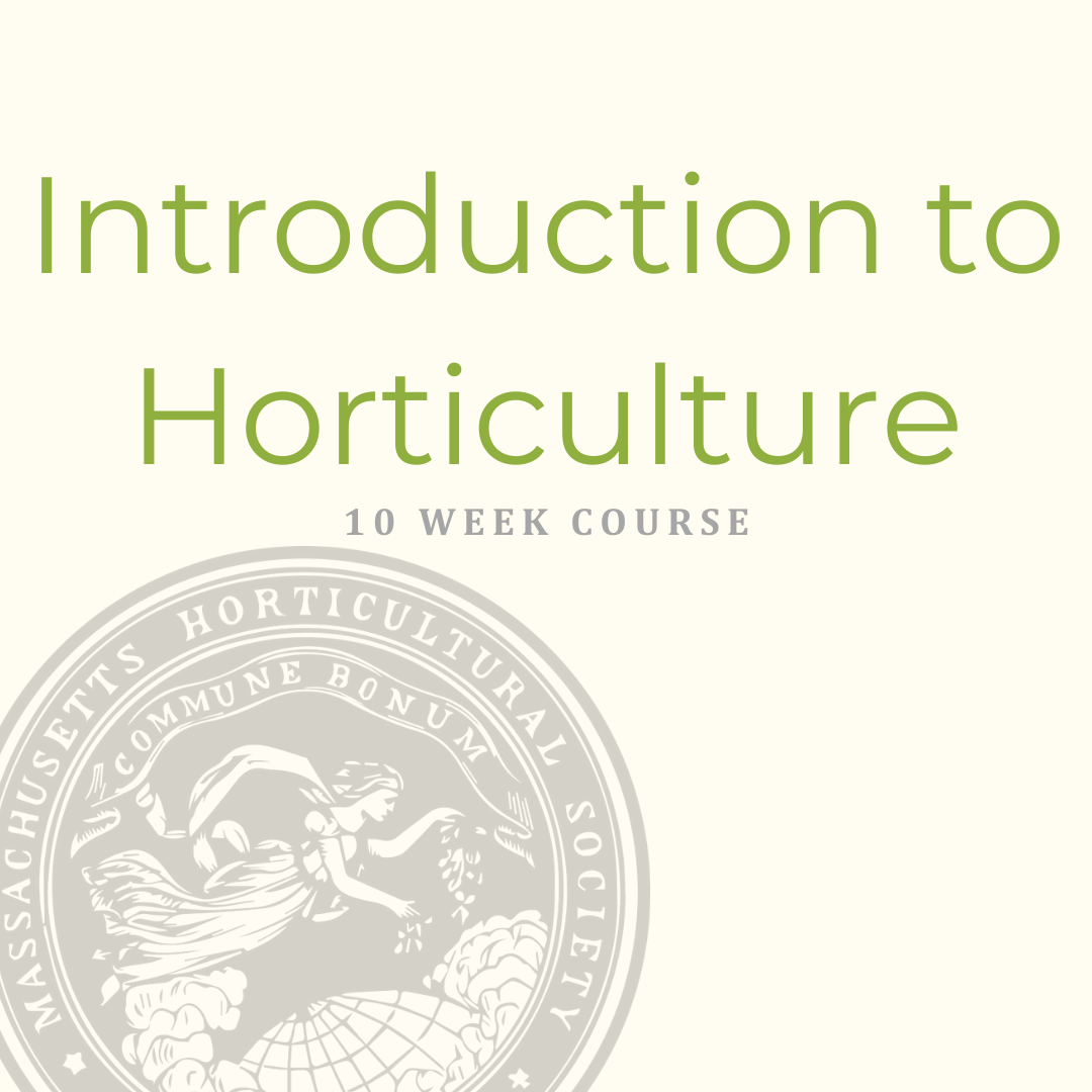 Upcoming Classes | Massachusetts Horticultural Society