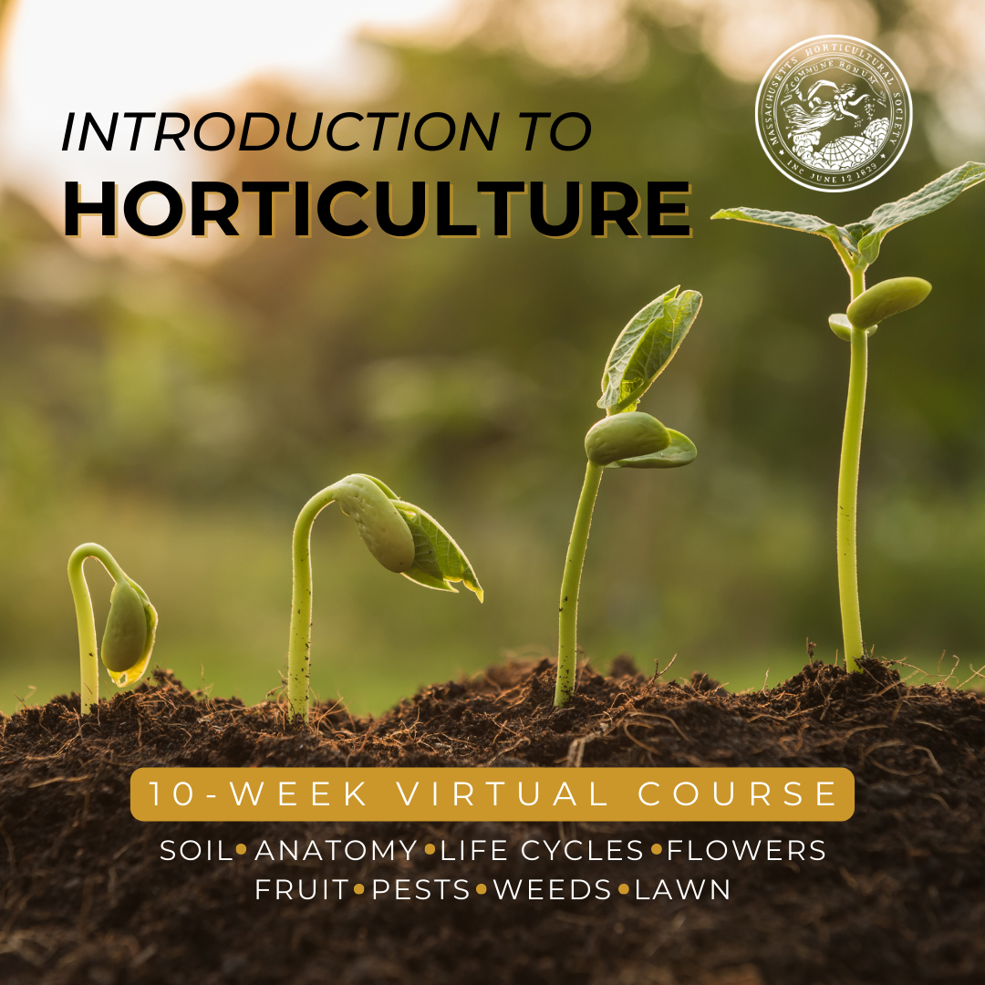 Upcoming Classes & Events | Massachusetts Horticultural Society