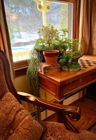 Designing with Houseplants