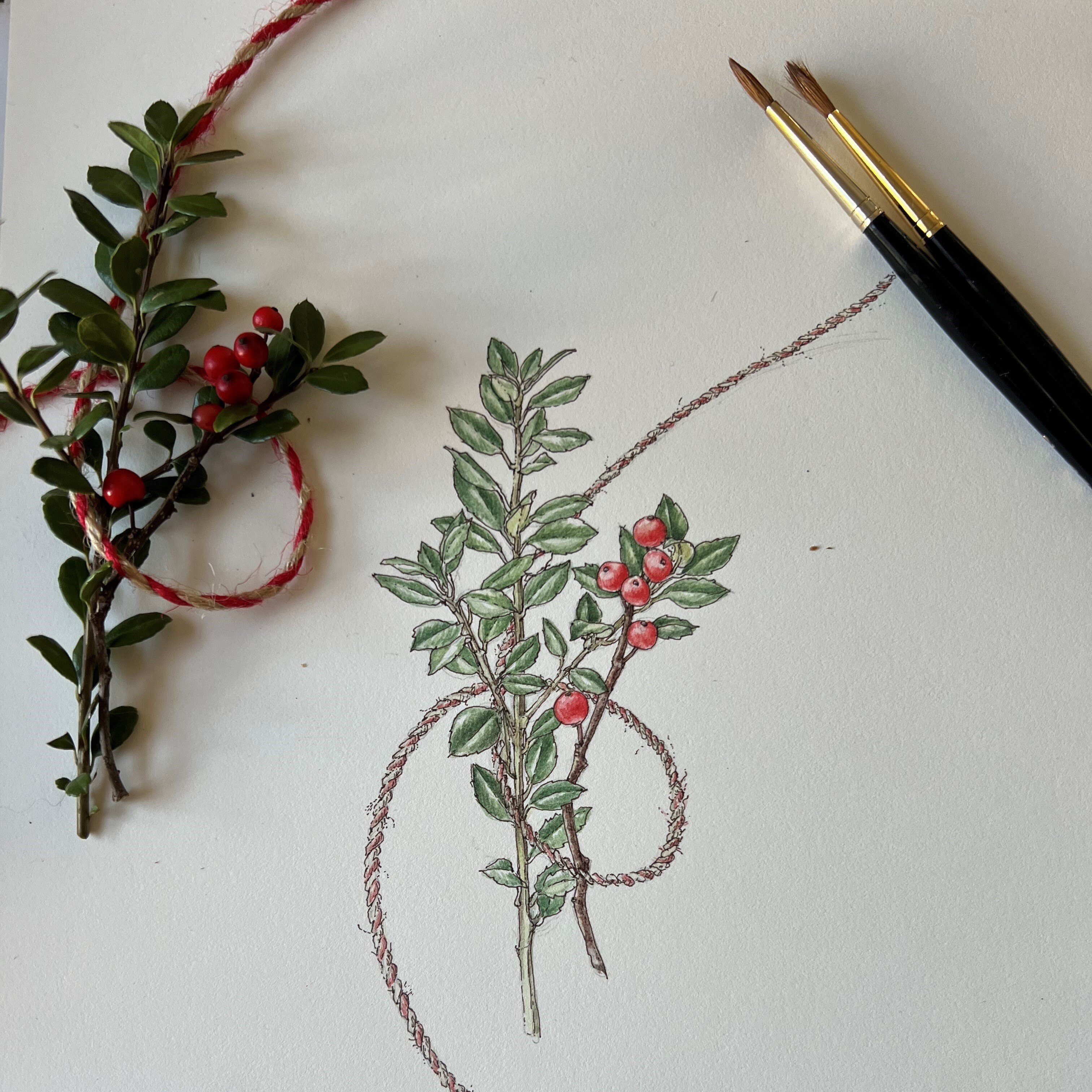 Botanical Art Program | Massachusetts Horticultural Society