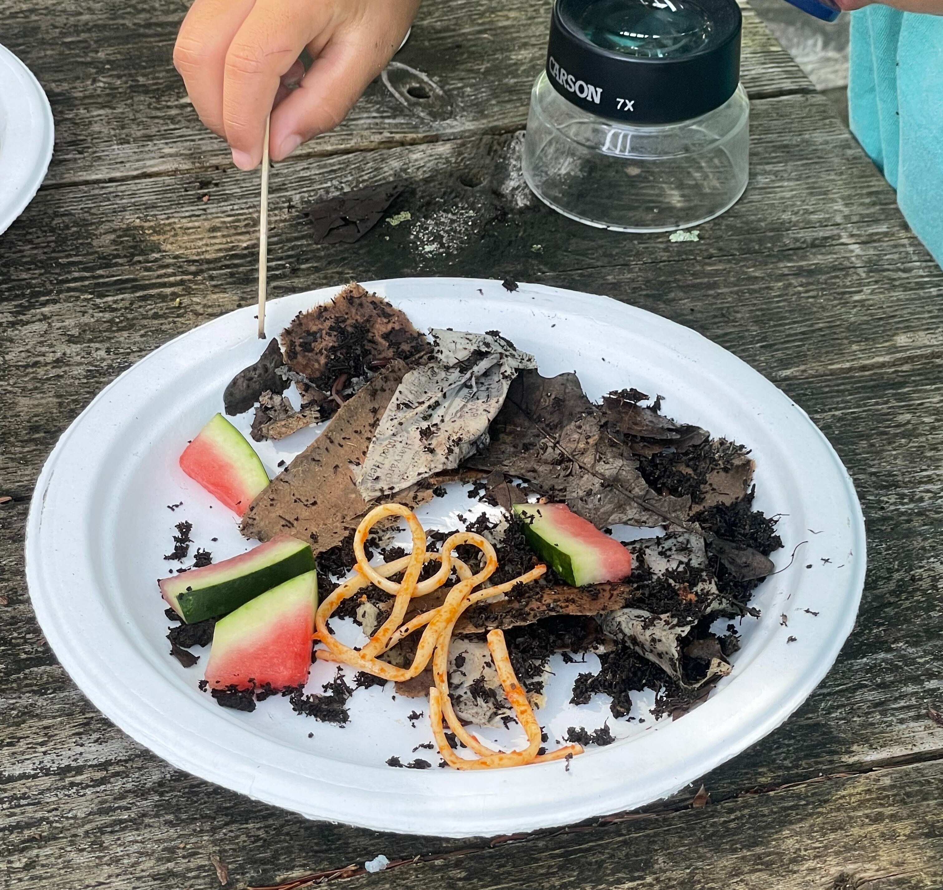 Vermicomposting: How Worms are our Decomposing Friends!